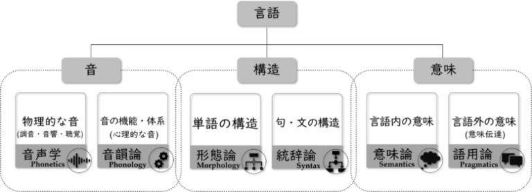 【音素と異音】定義と種類をイラストや具体例でわかりやすく解説