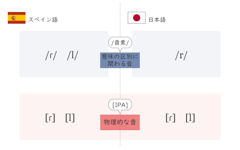 【音素と異音】定義と種類をイラストや具体例でわかりやすく解説